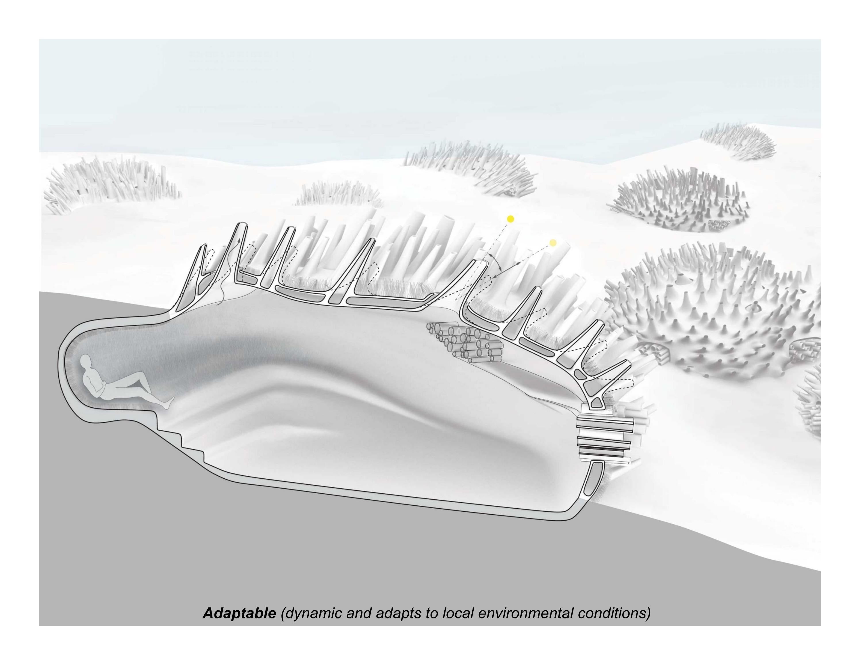 Architecture Follows Nature—Biomimetic Principles for Innovative Design ...