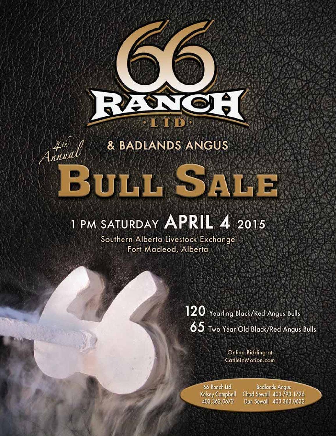 66 Ranch & Badlands Angus 4th Annual Bull Sale 2015 by Everything Angus ...
