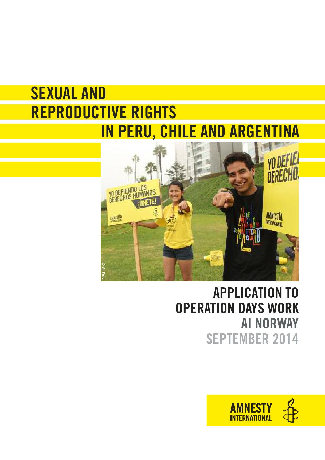 Amnesty application English by Operasjon Dagsverk - Issuu