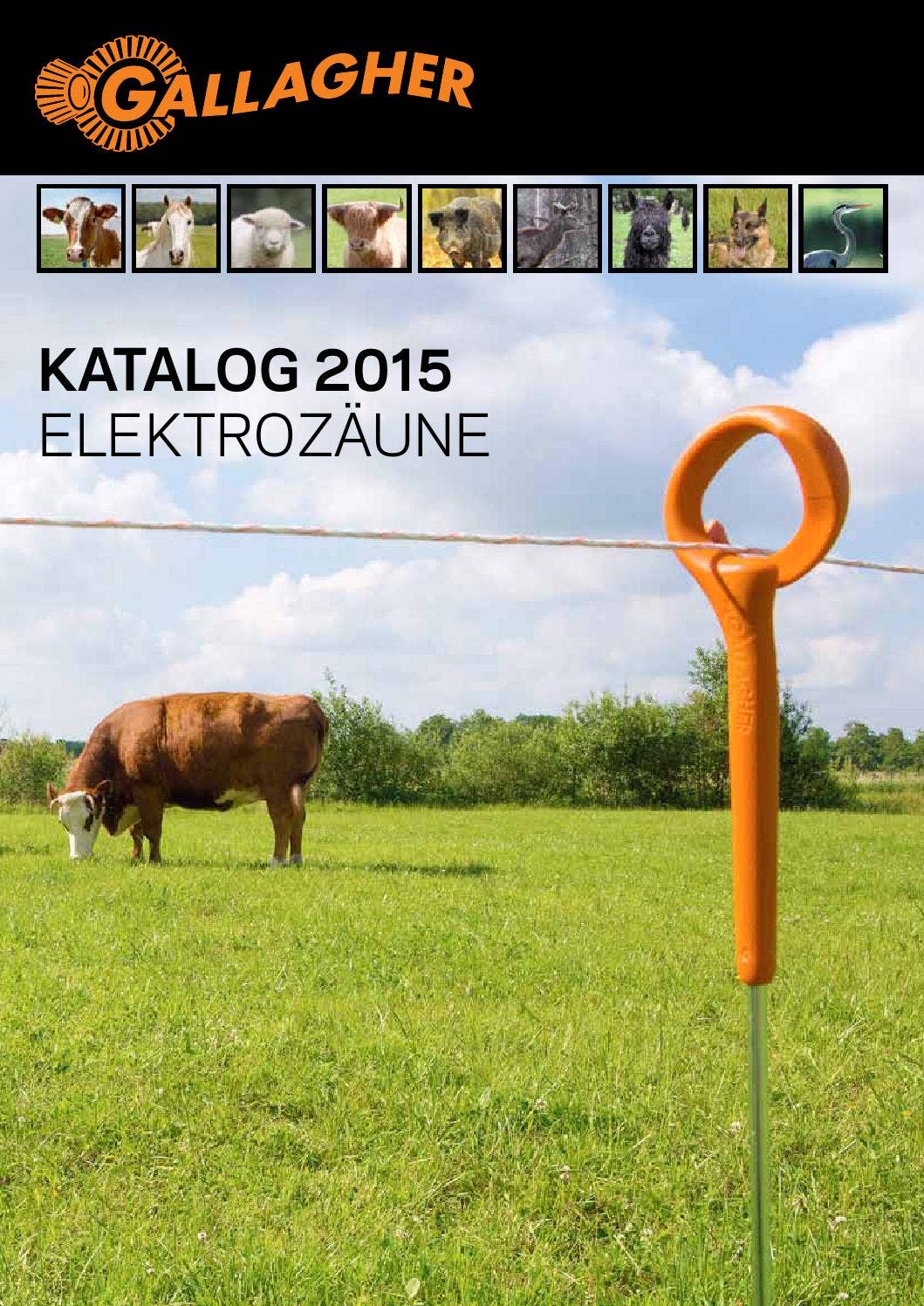 Gallagher 2015 by ADi AG Agentur für Digitales - Issuu