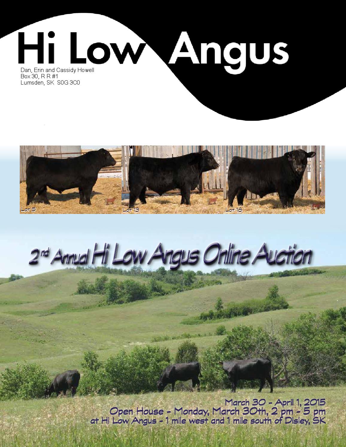 Hi Low Angus Online Bull Sale by Cattle In Motion, LLC - Issuu