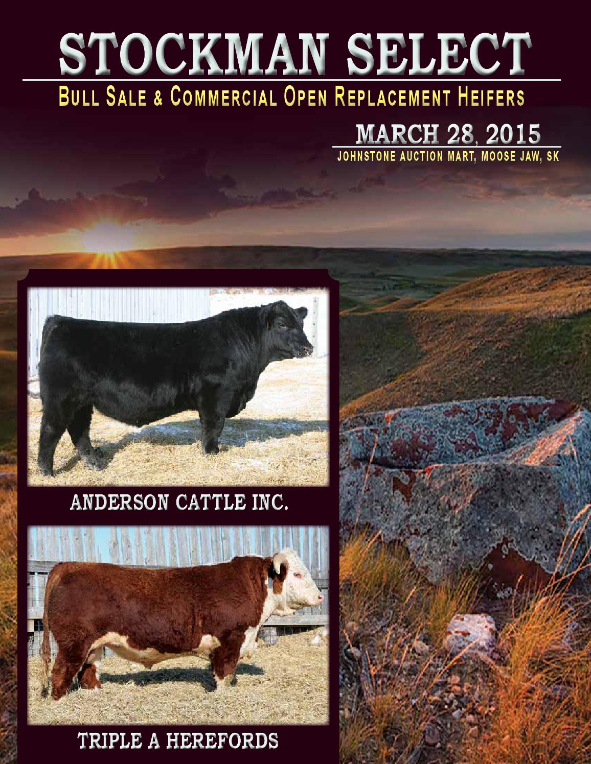 Stockman Select Angus & Hereford Bull Sale 2015 by Bohrson Marketing ...