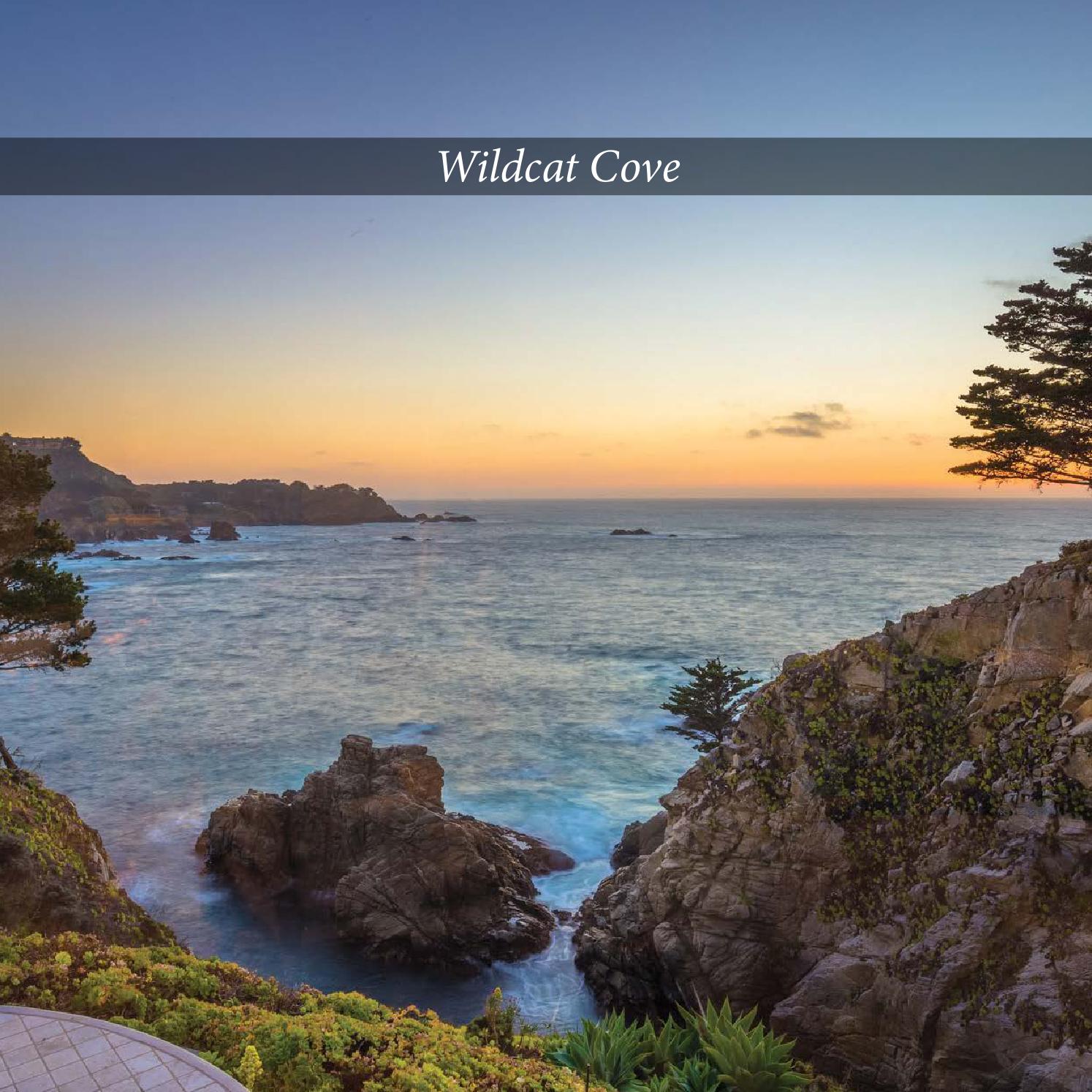 Wildcat Cove - Carmel Highlands Estate for Sale by Carmel Realty ...