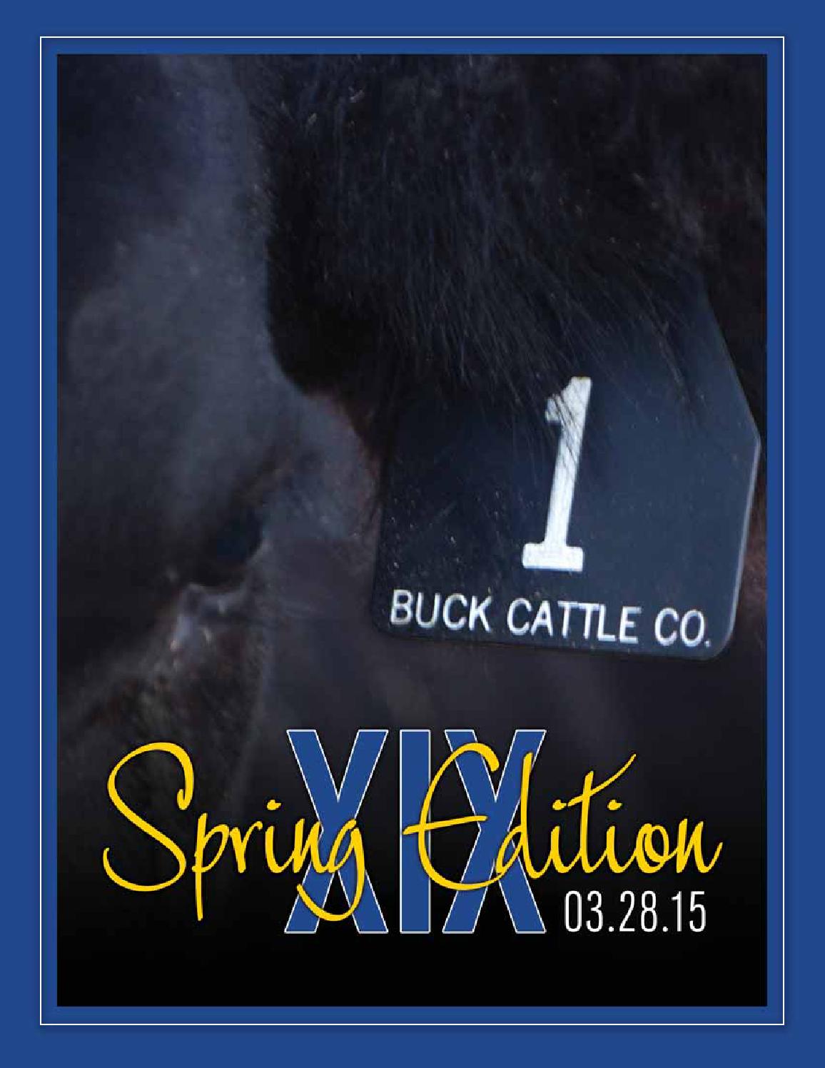 Buck Cattle Co 2015 Spring Edition Sale by Arin Strasburg - Issuu