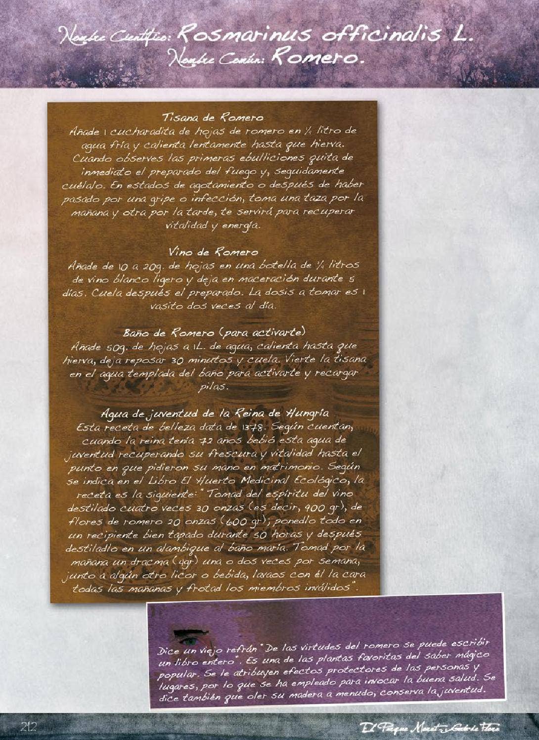 El Parque Moret: Guía de Flora by José Manuel Caraballo Martínez - Issuu