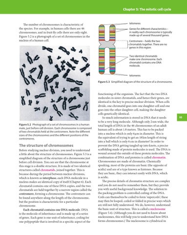 Cambridge International AS and A Level Biology Coursebook with CD-ROM ...