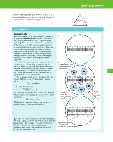 Cambridge International AS and A Level Biology Coursebook with CD-ROM ...