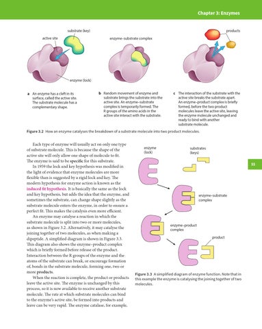 Cambridge International AS and A Level Biology Coursebook with CD-ROM ...