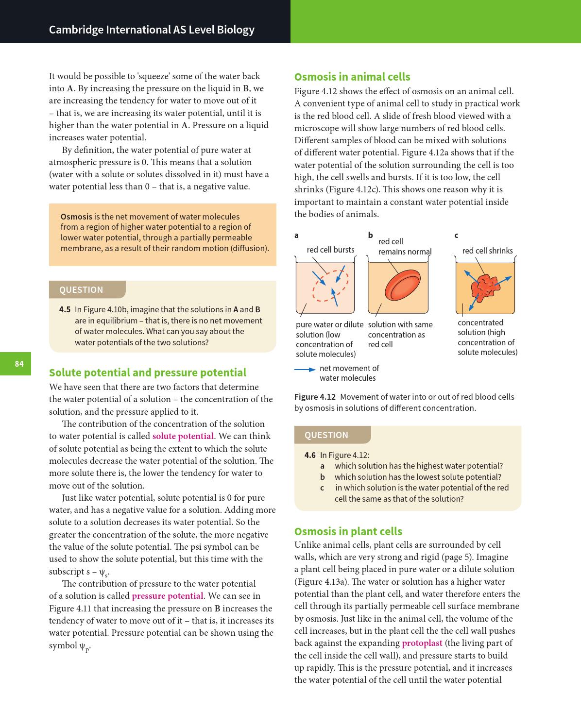 Cambridge International AS and A Level Biology Coursebook with CD-ROM ...