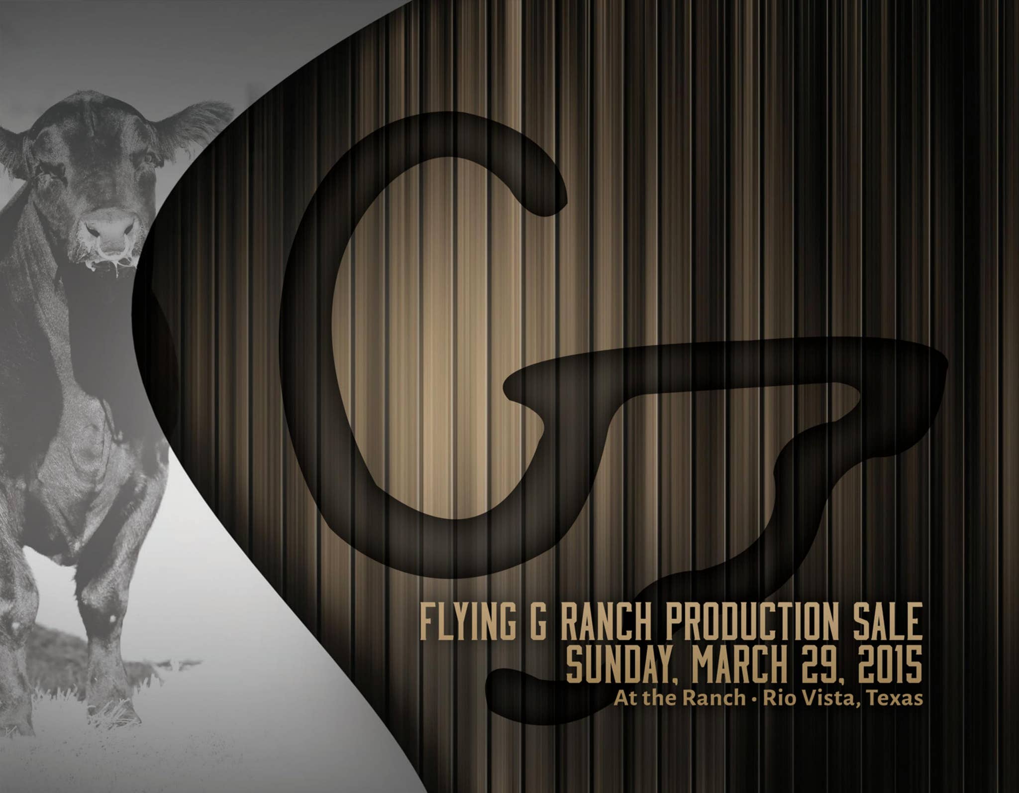 2nd Annual Flying G Ranch Production Sale by Cattle In Motion, LLC - Issuu