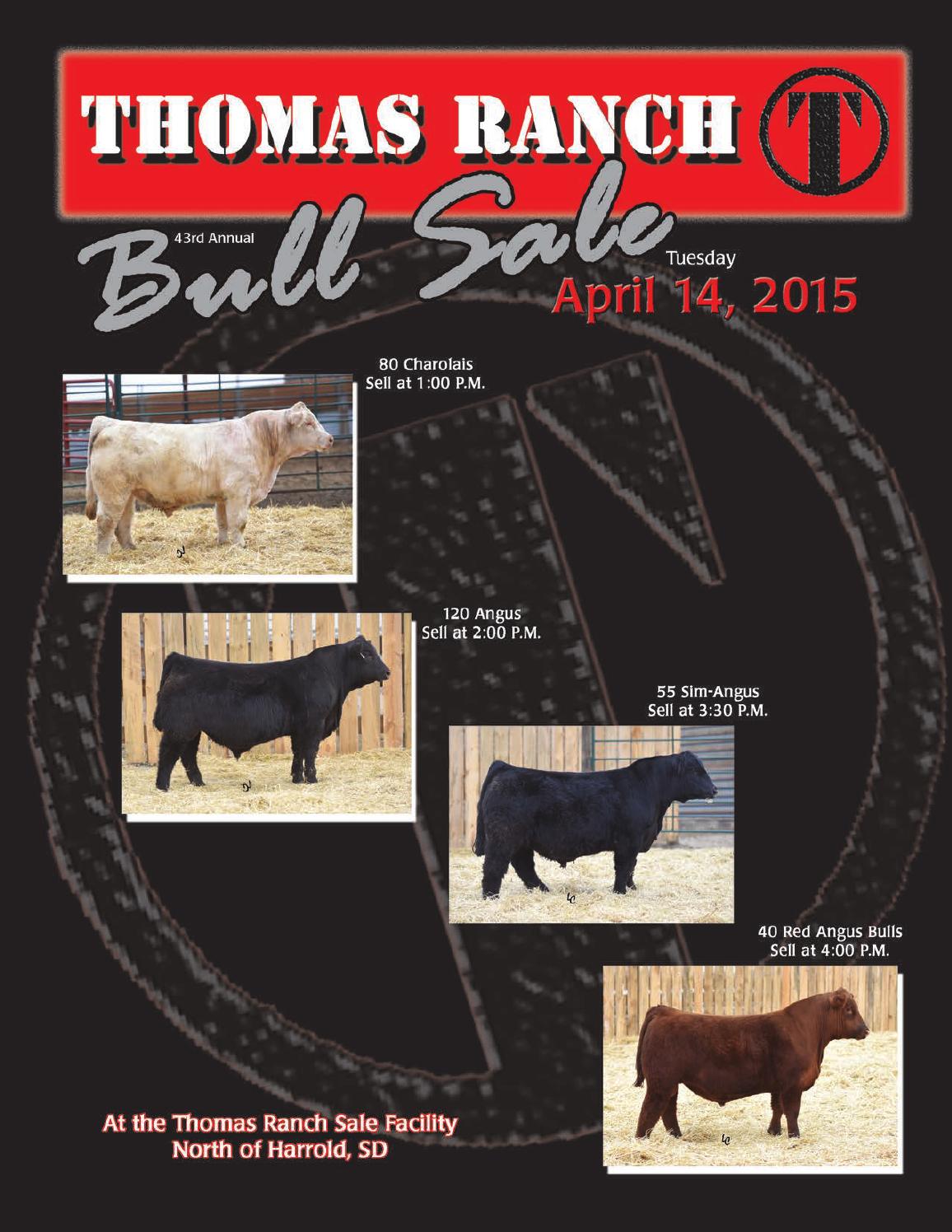 Thomas Ranch - 43rd Annual Bull Sale by LivestockDirect - Issuu