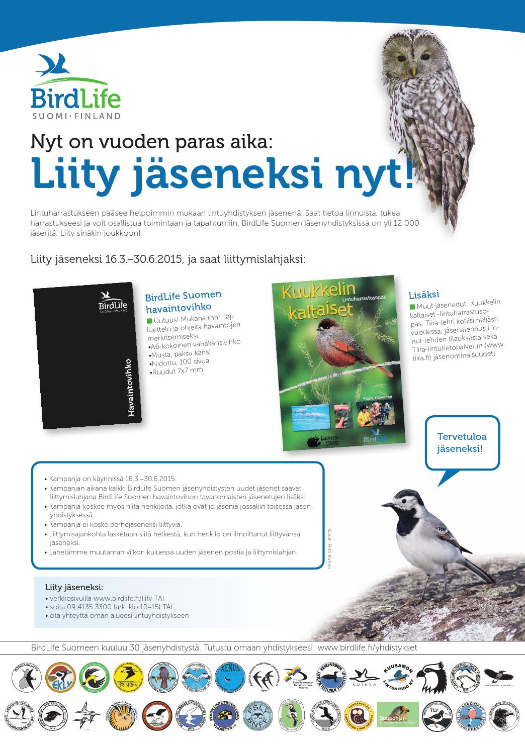 Tiira 1/2015 by BirdLife Suomi - Issuu