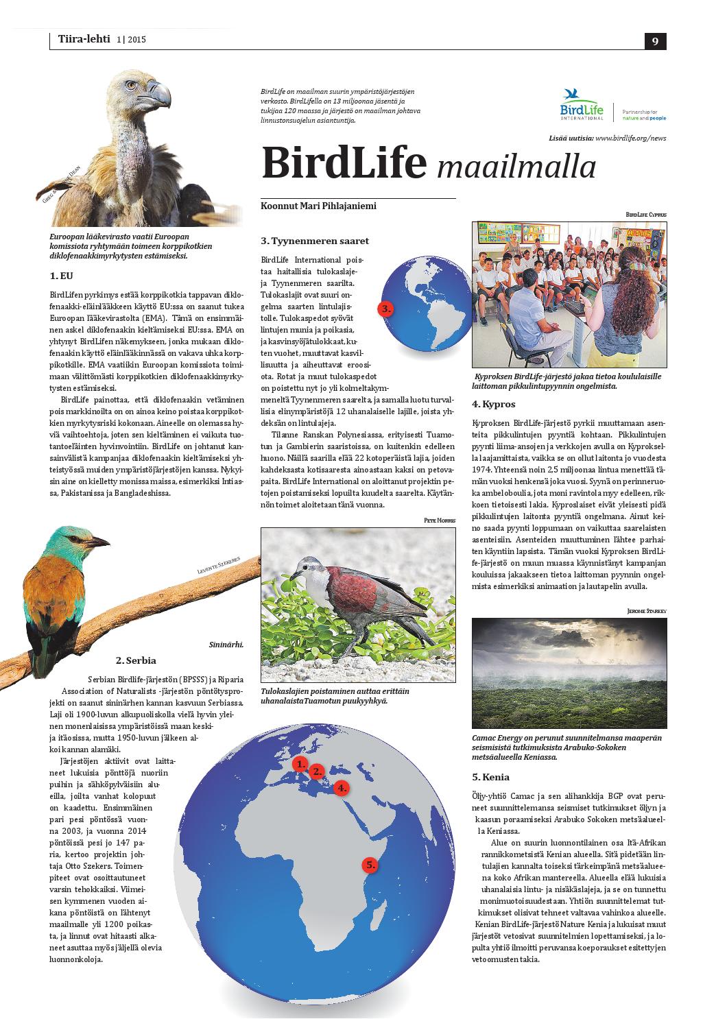 Tiira 1/2015 by BirdLife Suomi - Issuu