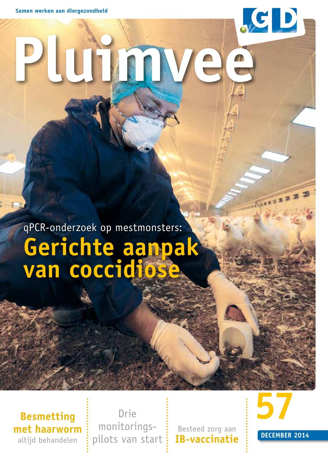 GD Pluimvee 57 by Royal GD - Issuu
