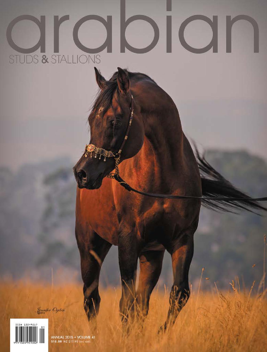 Arabian Studs & Stallions 2015 by Vink Publishing - Issuu