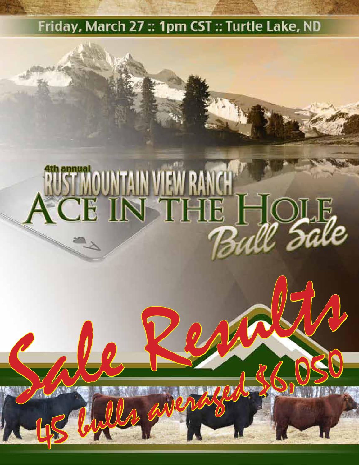 Rust Mountain View Ranch Bull Sale Results 2015 by Bohrson Marketing ...