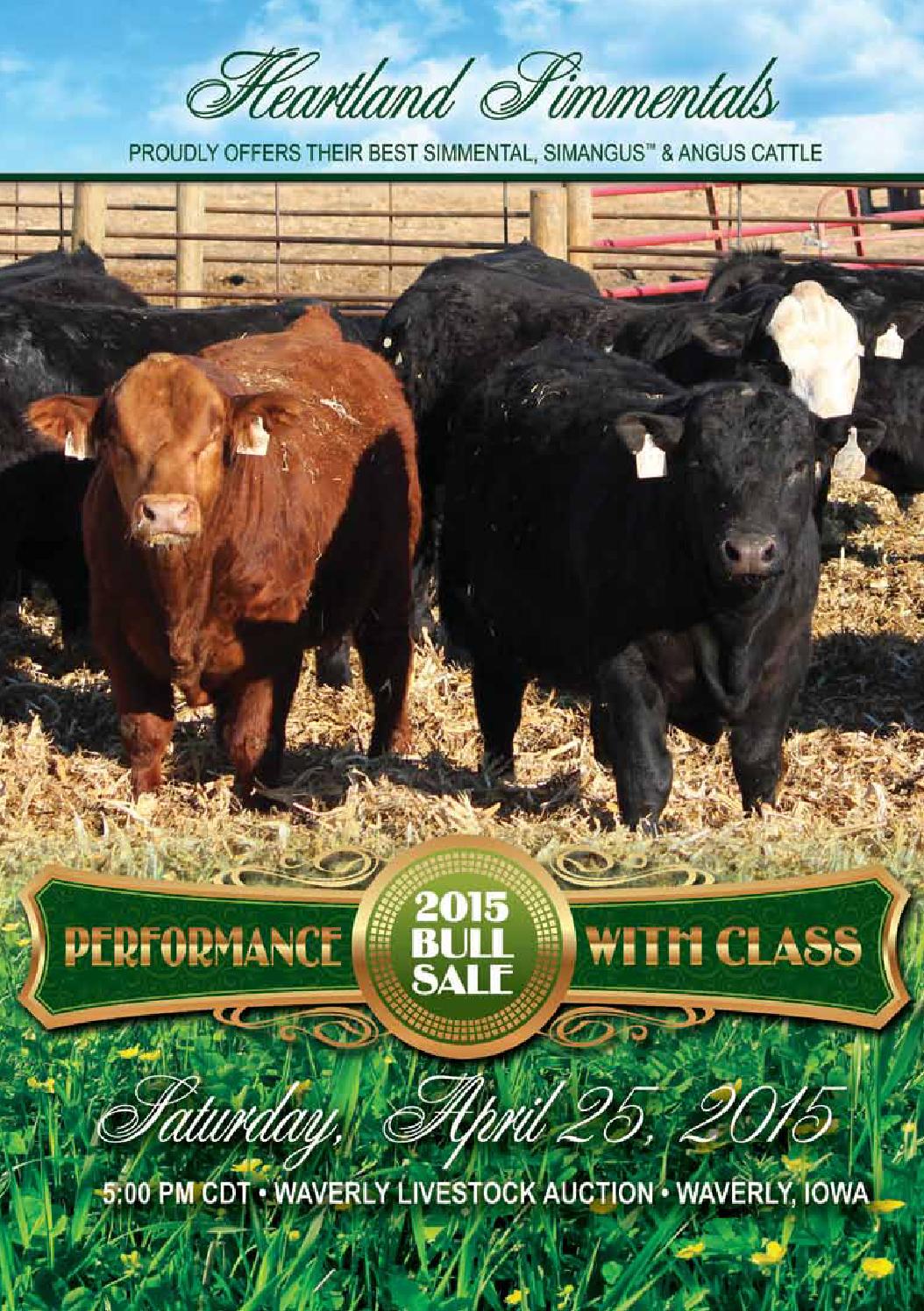 Heartland Simmental Sale Catalog 2015 by Eberspacher Enterprises - Issuu