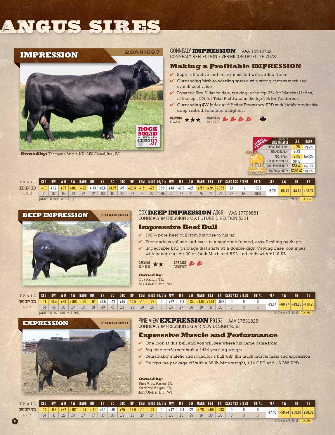 ABS Beef Focal Point - Spring 2015 by ABS Global, Inc. - Issuu