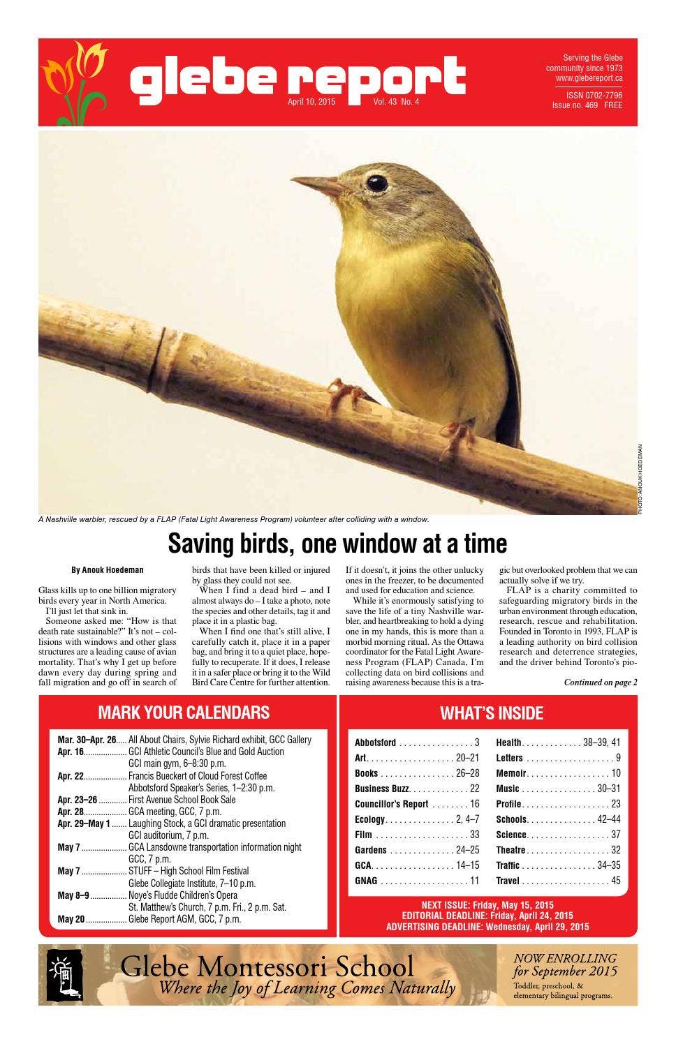 Glebe Report April 2015 by Glebe Report - Issuu