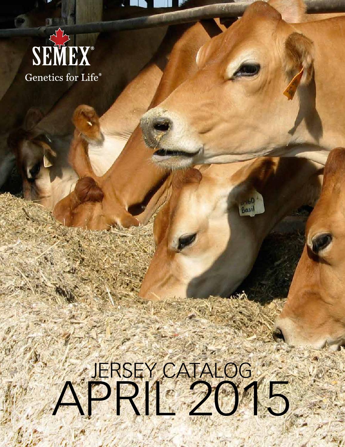 Semex - April 2015 USA Jersey Catalog by Semex - Issuu