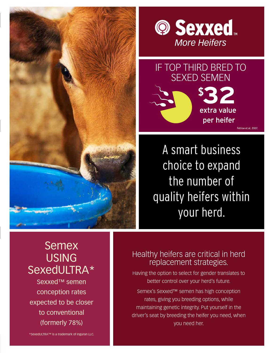 Semex - April 2015 USA Jersey Catalog by Semex - Issuu
