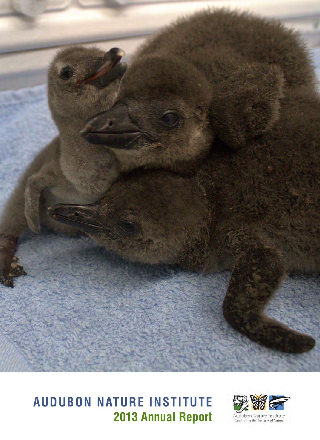 Audubon Nature Institute Annual Report 2013 by Audubon Nature Institute ...