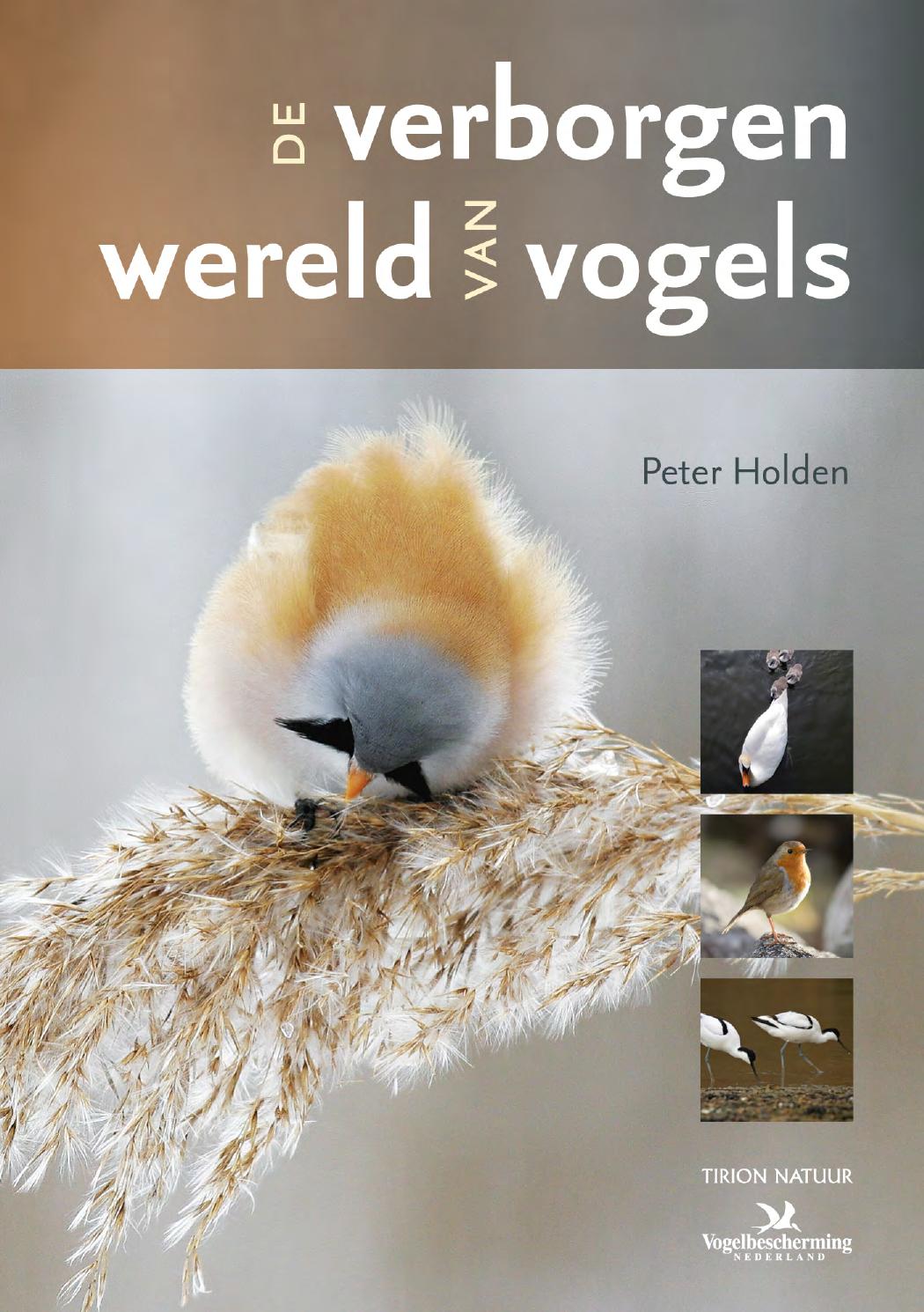 Inkijkexemplaar De verborgen wereld van vogels - Peter Holden by Veen ...