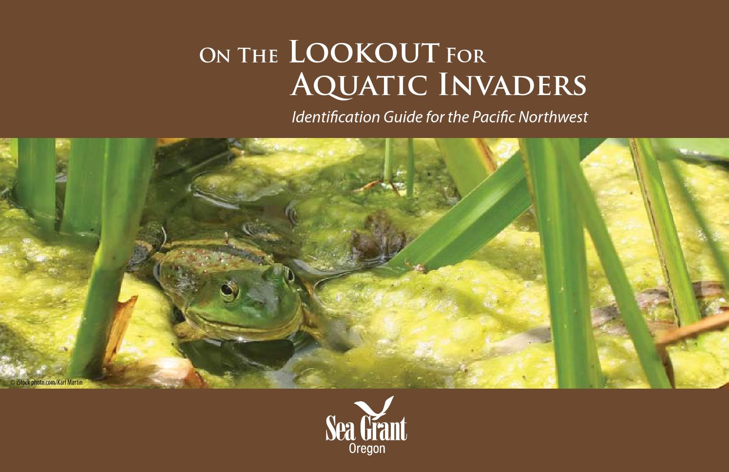 On the lookout for aquatic invaders identification guide for the ...