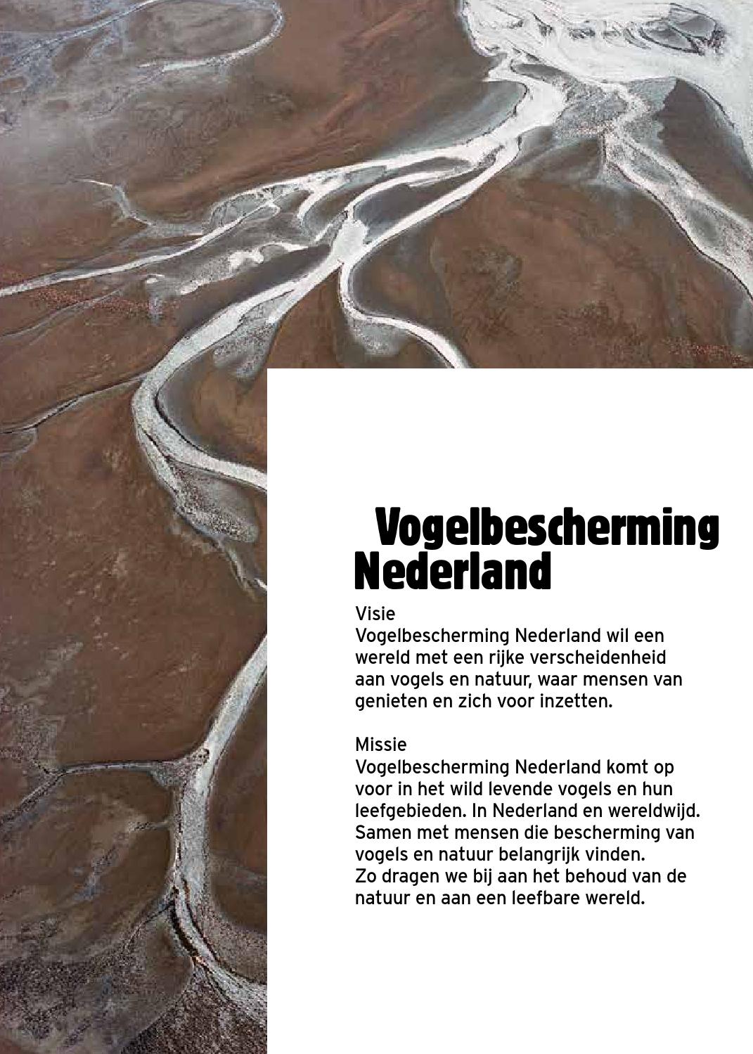 Vogelbescherming Nederland 2015-2020 by Vogelbescherming Nederland - Issuu