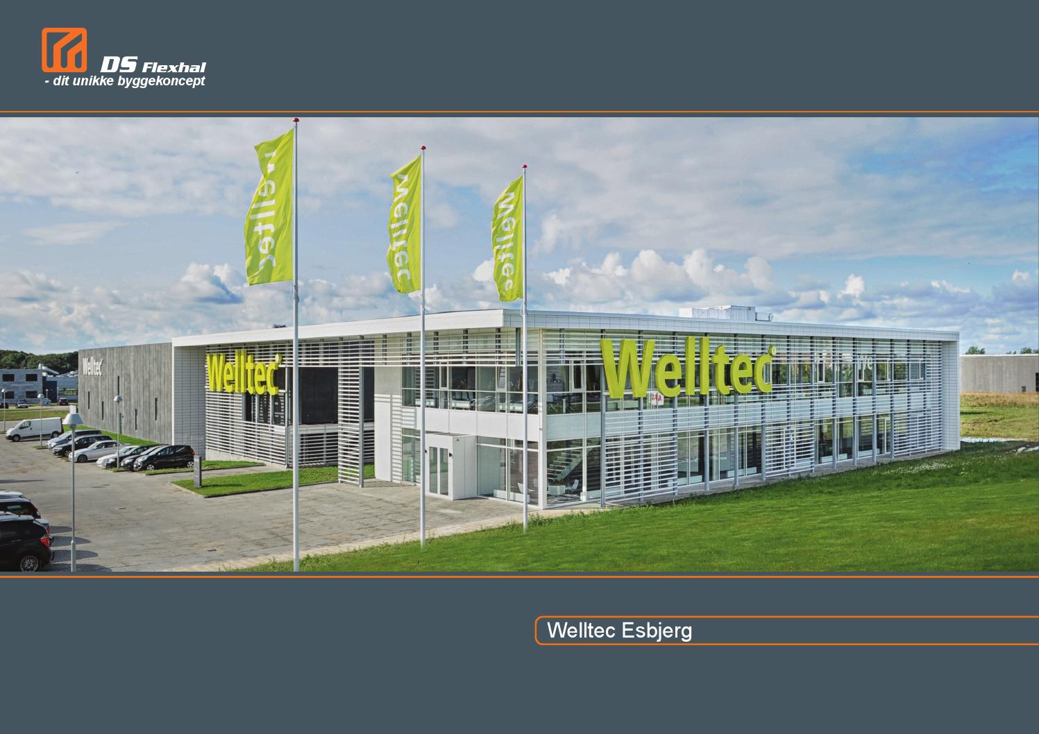 Welltec by DS Flexhal - Issuu