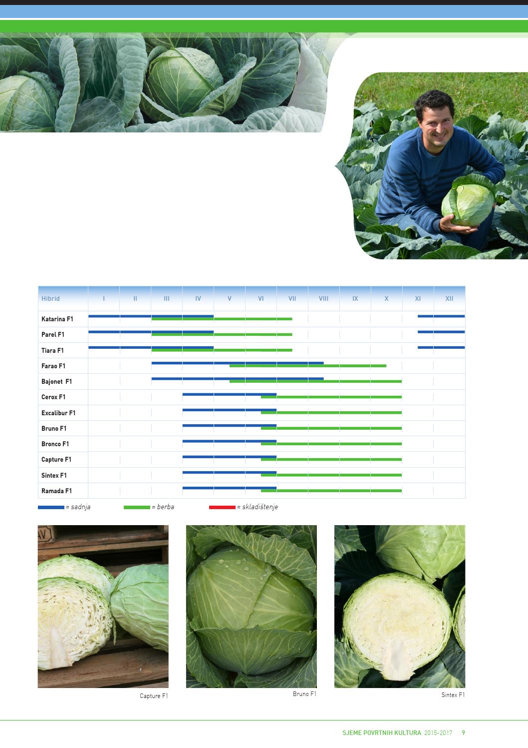 Bejo zaden d.o.o. - Katalog 2015 - 2017 by Bejo Zaden - Issuu