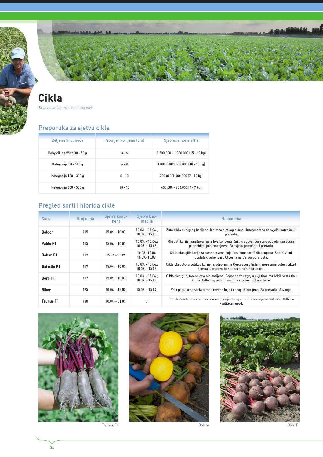 Bejo zaden d.o.o. - Katalog 2015 - 2017 by Bejo Zaden - Issuu