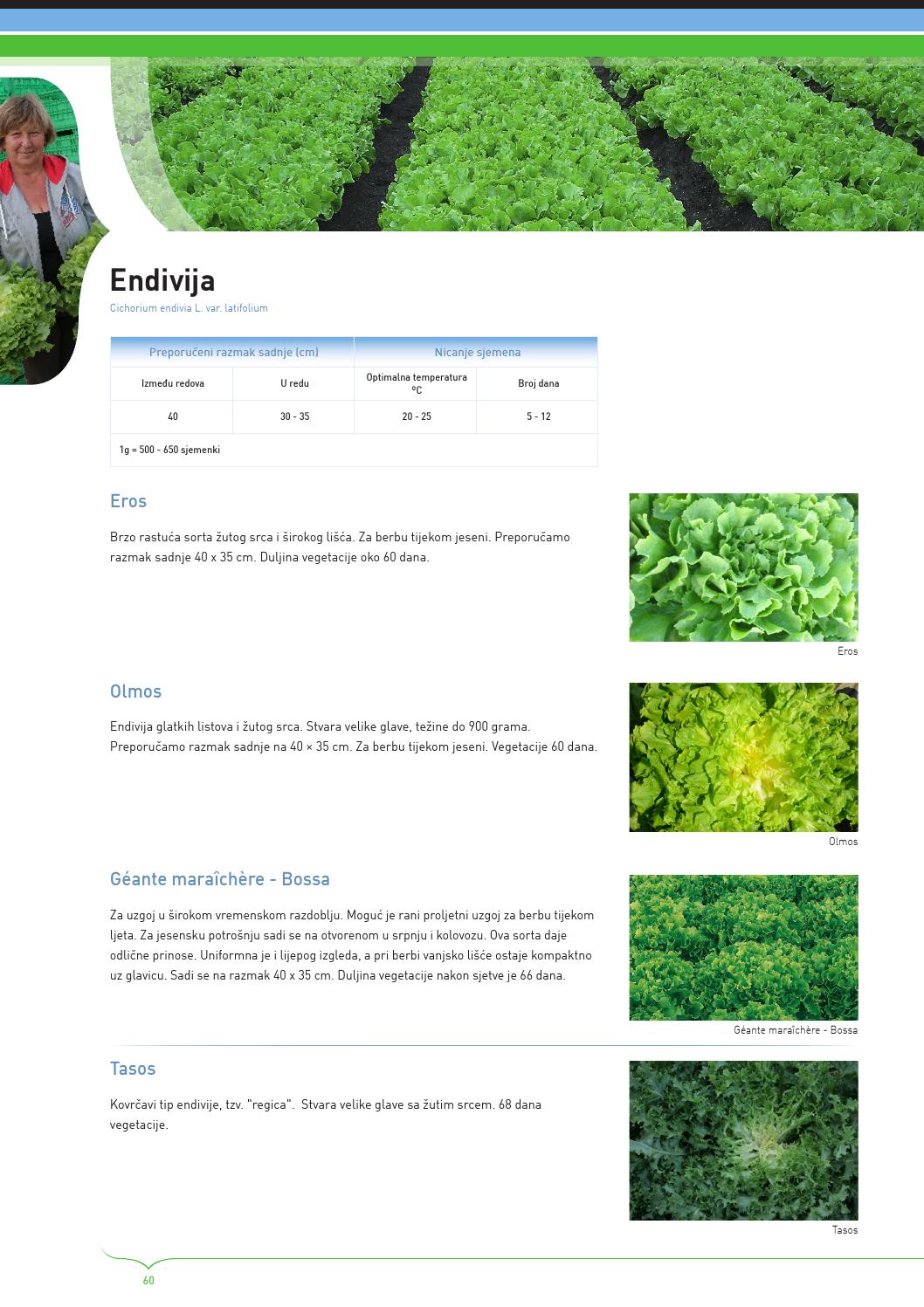 Bejo zaden d.o.o. - Katalog 2015 - 2017 by Bejo Zaden - Issuu
