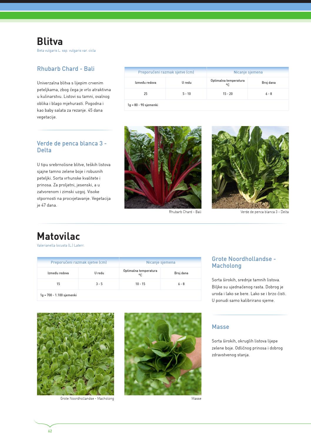 Bejo zaden d.o.o. - Katalog 2015 - 2017 by Bejo Zaden - Issuu