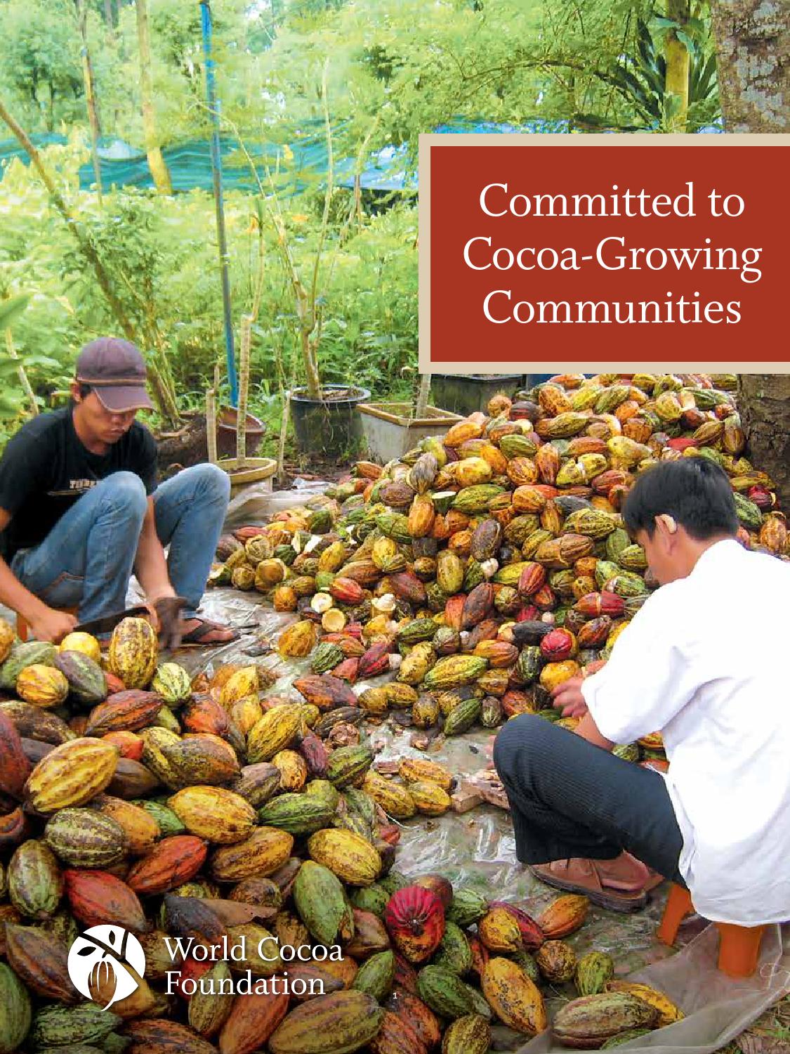 Cocoa sector supporting cocoa communities and achieving cocoa ...
