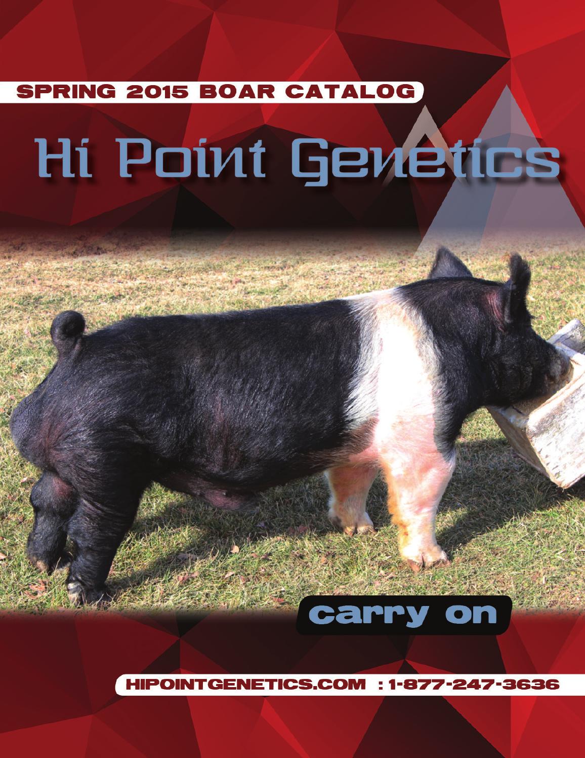 Hi Point Genetics - Spring 2015 Boar Catalog by Novel Designs - Issuu