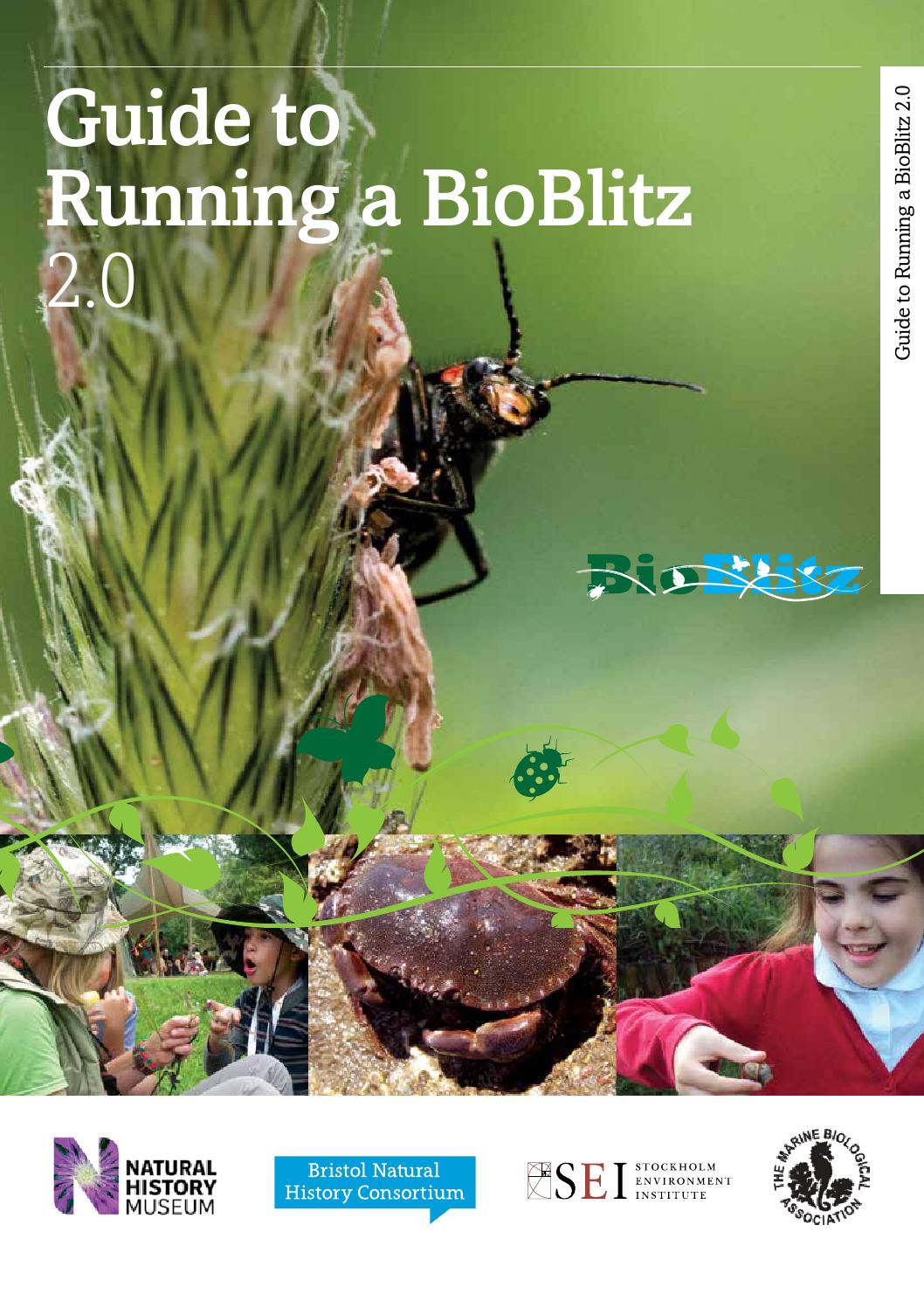 Priročnik Bioblitz 2013 uk by Stanka Dessnik - Issuu