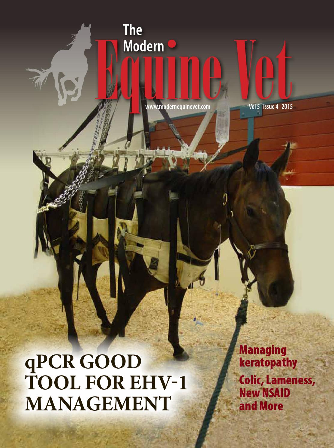 The Modern Equine Vet April 2015 by The Modern Equine Vet - Issuu