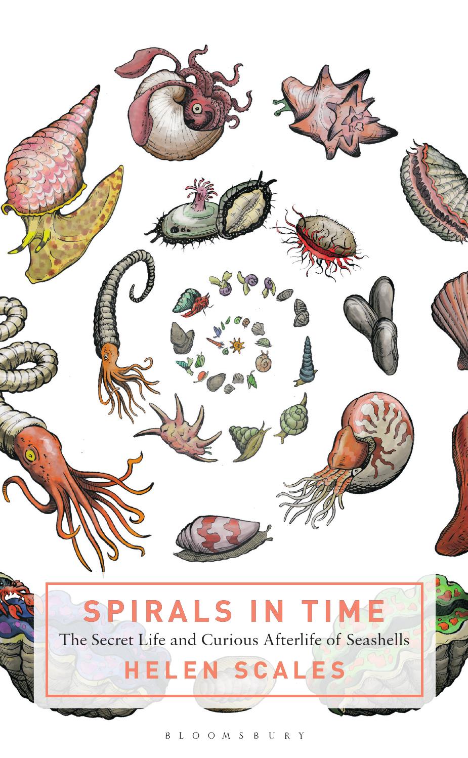Spirals in time by Helen Scales by Bloomsbury Publishing - Issuu