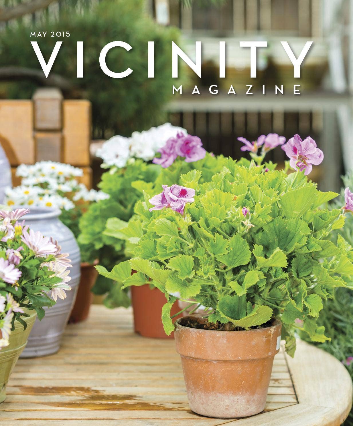 Vicinity Magazine by Vicinity Media Group - Issuu