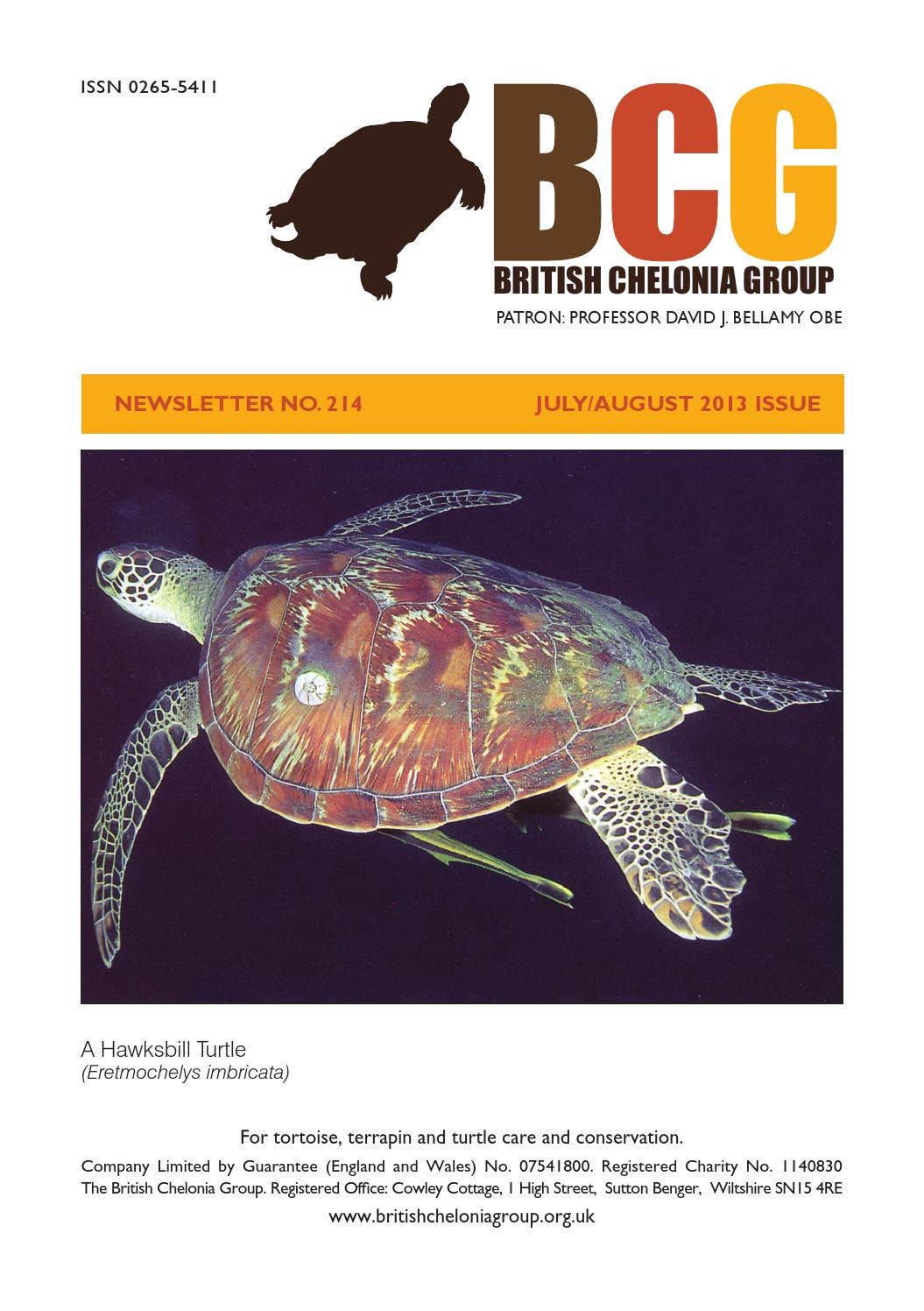 Lefkada’s sea turtle nesting lower than previously reported. by ...