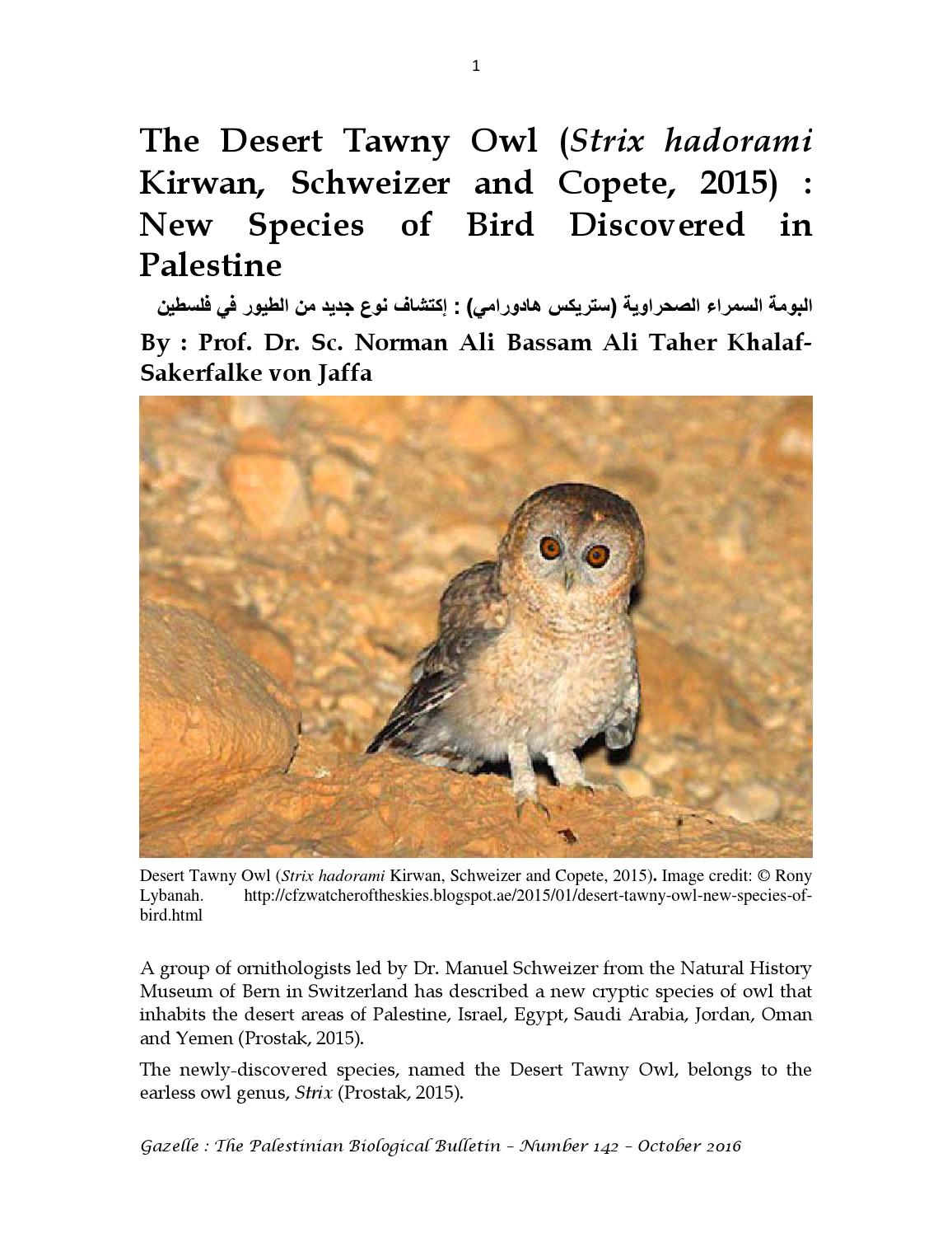 Desert Tawny Owl (Strix hadorami) : New Species of Bird Discovered in ...