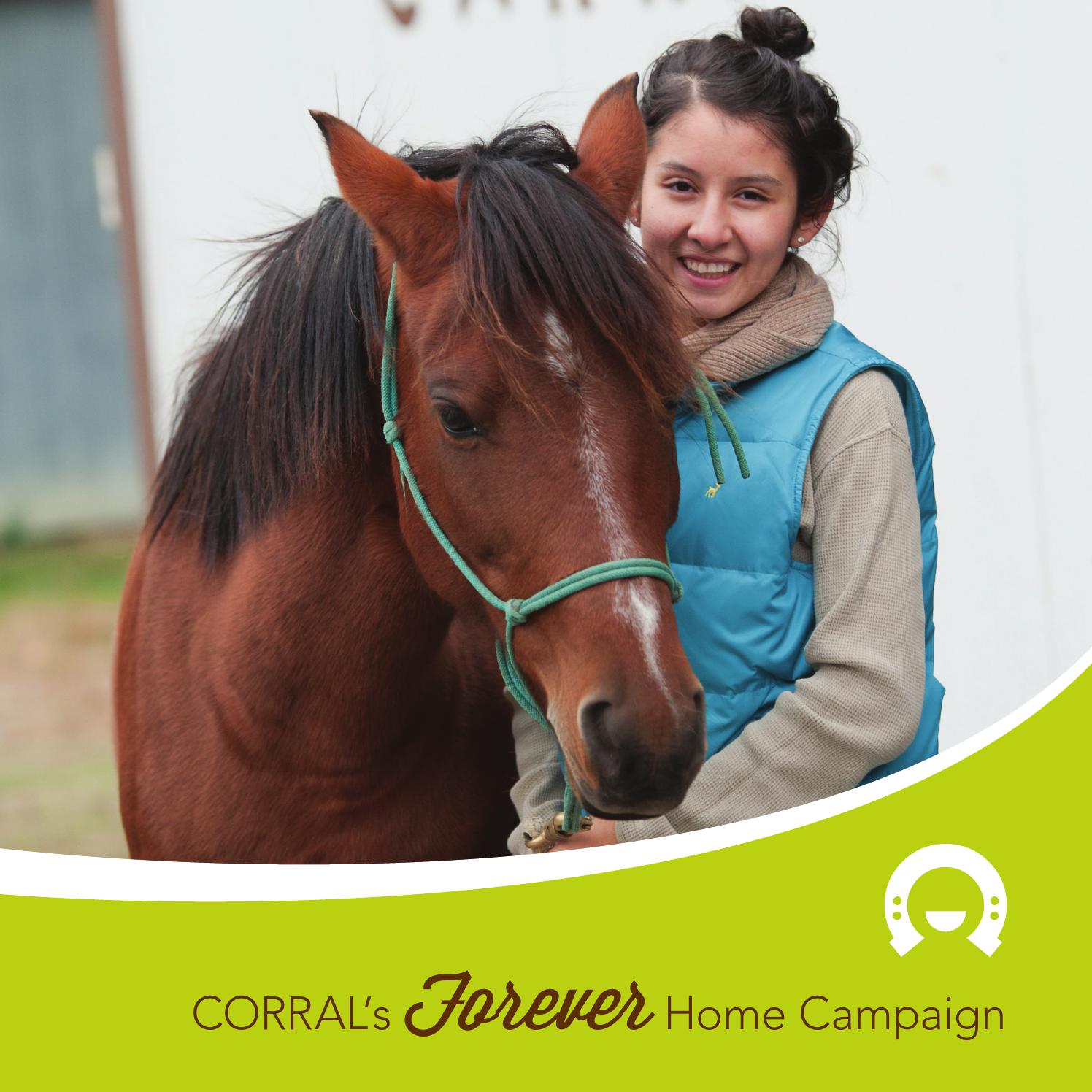 CORRAL Forever Home Campaign 2015 by CORRAL Riding Academy - Issuu