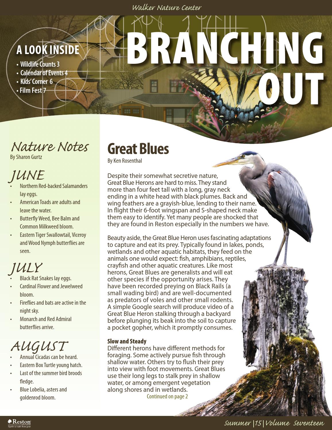 Branching out summer 2015 by Reston Association - Issuu