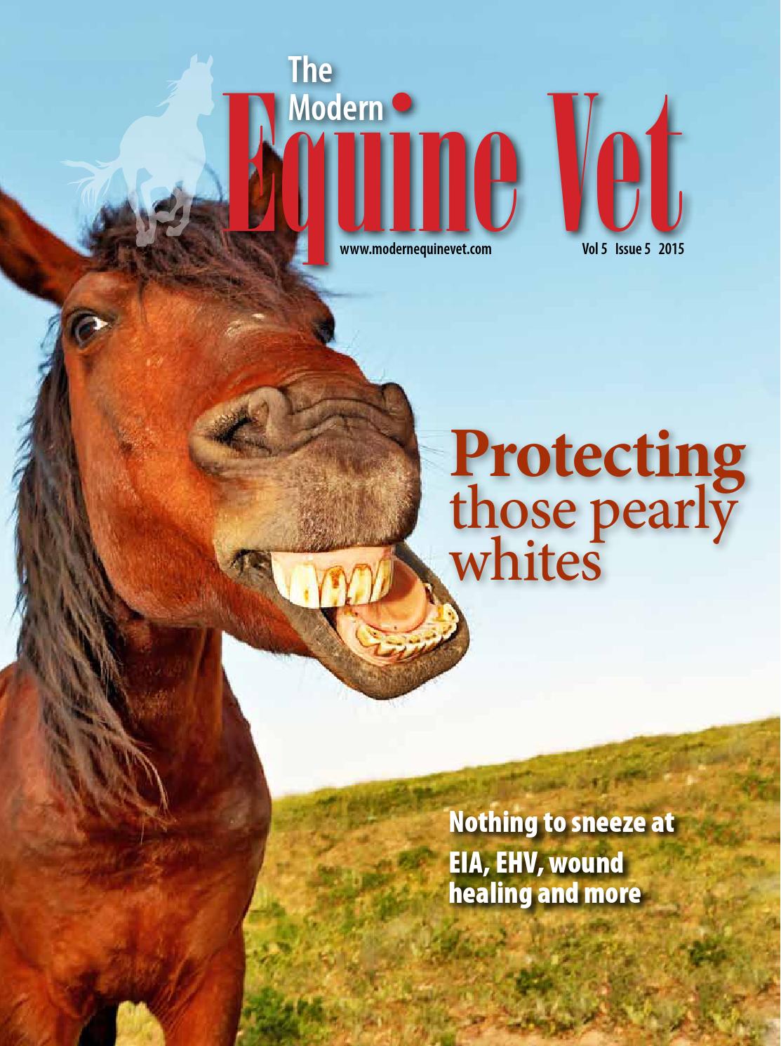 The Modern Equine Vet May 2015 by The Modern Equine Vet - Issuu