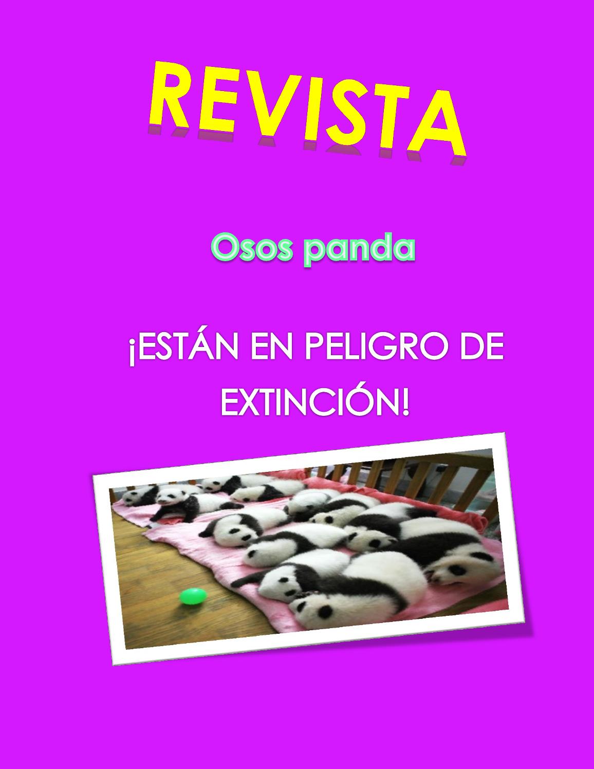 Revista de los ositos panda elody by María Mayela GC - Issuu