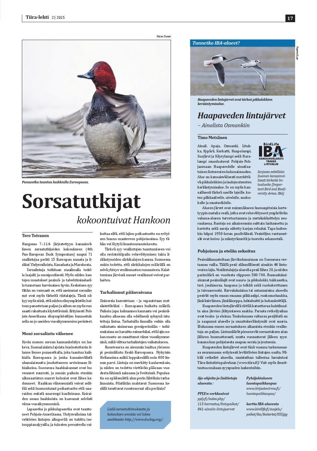 Tiira 2/2015 by BirdLife Suomi - Issuu