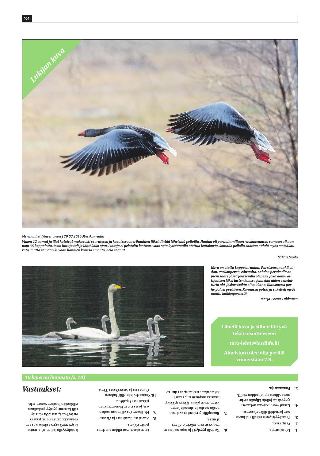 Tiira 2/2015 by BirdLife Suomi - Issuu