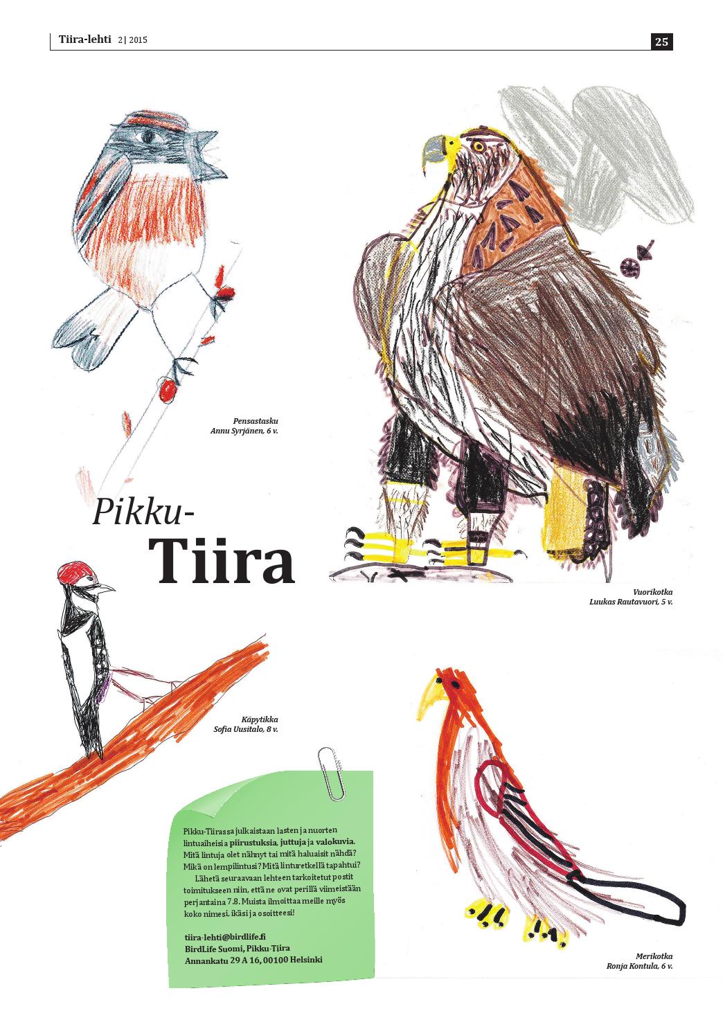 Tiira 2/2015 by BirdLife Suomi - Issuu