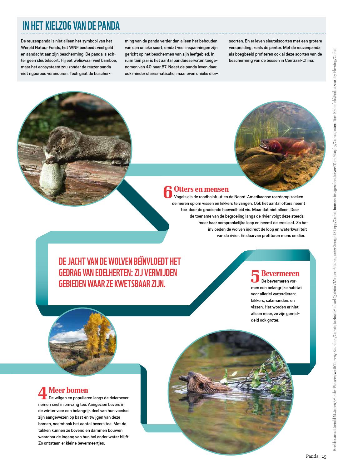 Panda Magazine Wereld Natuur Fonds by Wereld Natuur Fonds - Issuu